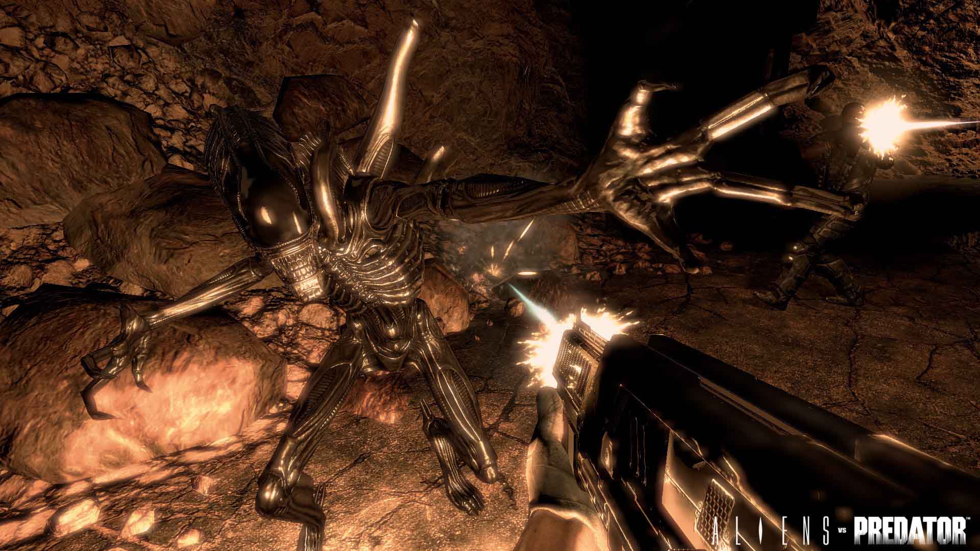 Alien Vs Predator en images et trailer